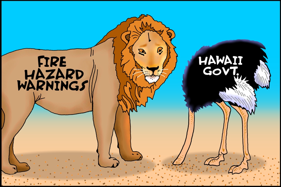 Maui wildfire disaster cartoon, fire hazard warnings ignored by Hawaii ...