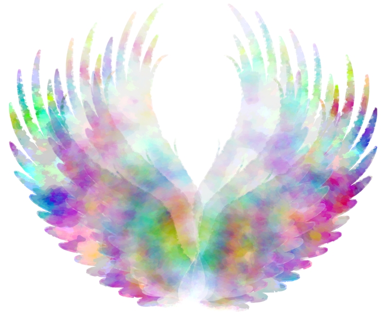 Wings color illustration, wings image by John Pritchett